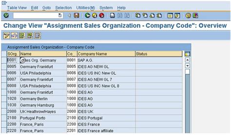 How To Map The Elements Of The SAP SD Organizational Structure