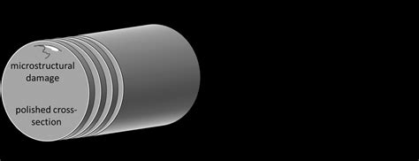 Illustration Of The Serial Cross Sectioning Procedure Download