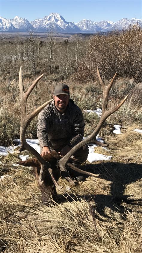 Photo Gallery Mf Hunting Outfitter Elk Hunts In Western Wyoming