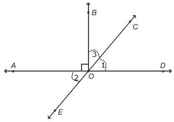 Name The In The Following Figure Znu Rtvv