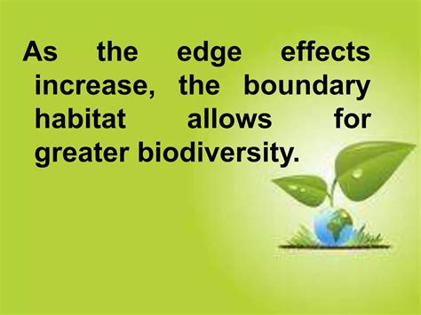Ecotone And Edge Effects And Ecological Succession Pptx