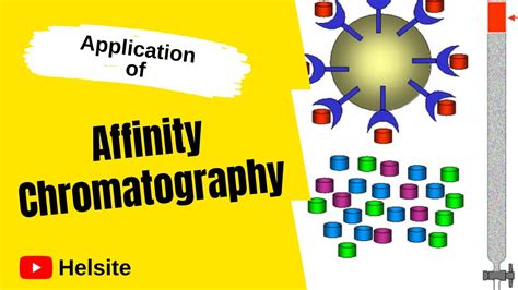 Affinity Chromatography Laccase At Andrea Mcclelland Blog