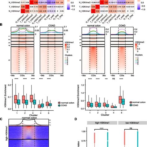Correlation Between H3k4me1 And Dna Hypermethylation At Promoter Cgis