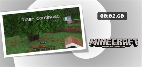 Timer V Gallery Minecraft Bedrock Scripts CurseForge