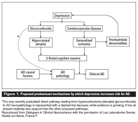 Cognitive Functioning In Late Life Depression British Columbia