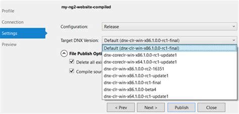 Visual Studio Asp Net 5 Web Application Startup Exception After