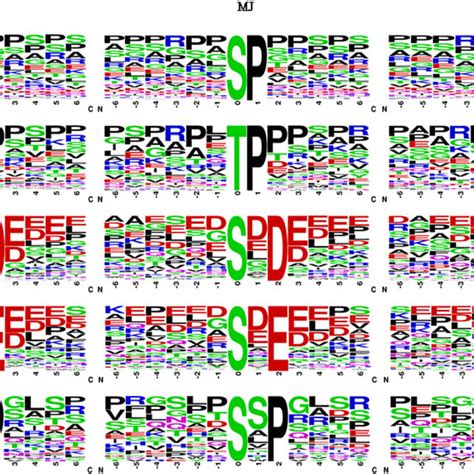 Frequency Corrected Phosphorylation Motifs Were Extracted Using The Download Scientific Diagram
