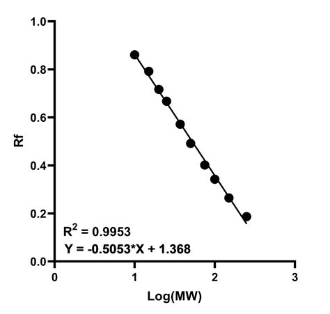 How To Analyse Western Blots