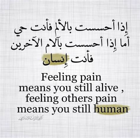 Mohamed Labib Posted On Linkedin