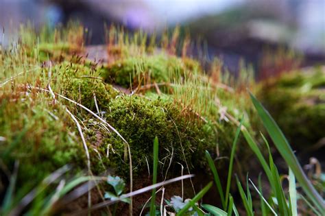 На дачу! | Пикабу