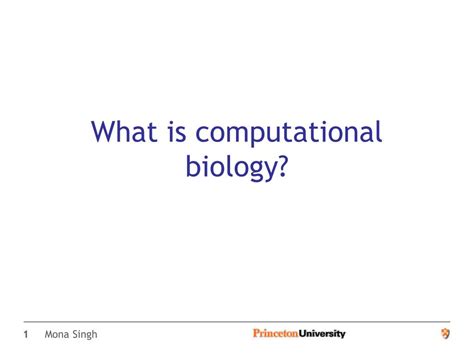 PPT What Is Computational Biology PowerPoint Presentation Free Download ID