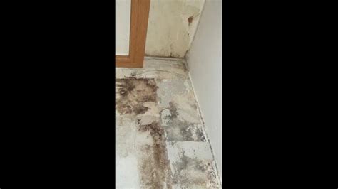 창문 벽에 곰팡이제거 후 안생기게 하려면~ 네이버 Tv