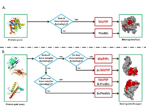 Interface Prediction Framework For Single A And Pair Protein Queries