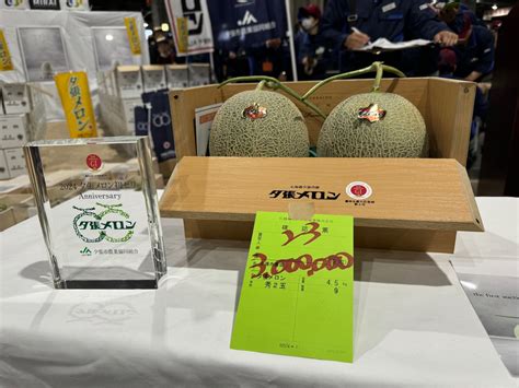 Ja夕張市「夕張メロン」の初出荷がありました 札幌みらい中央青果株式会社