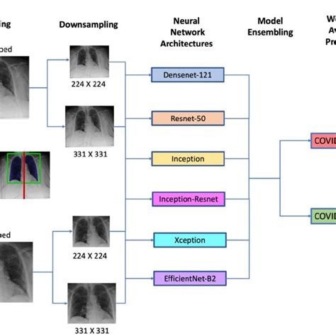 DeepCOVID XR A Weighted Average Ensemble Of Deep Learning Models