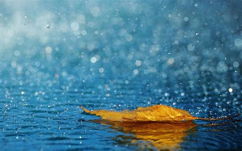 Rainfall Wallpaper Hd