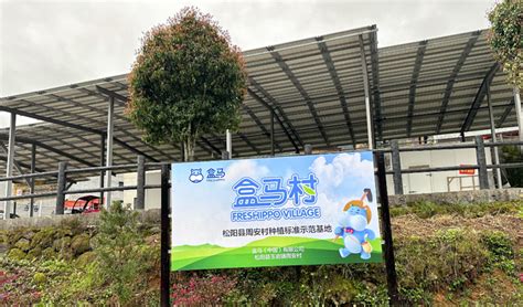 海拔第一！浙江丽水：首个盒马村落户松阳