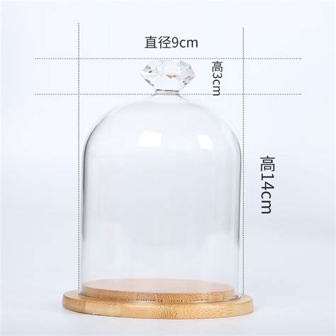 Glass Display Dome Model Keepsake Display Holder Table Decorative Case Doll Storage Dome With