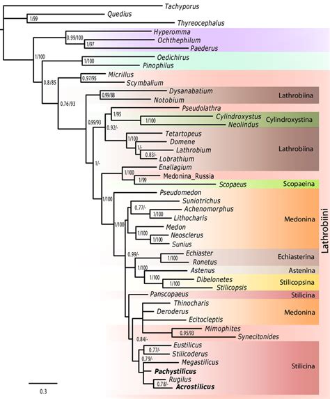 50 Majority Rule Consensus Tree From A Bayesian Analysis Of Combined Download Scientific
