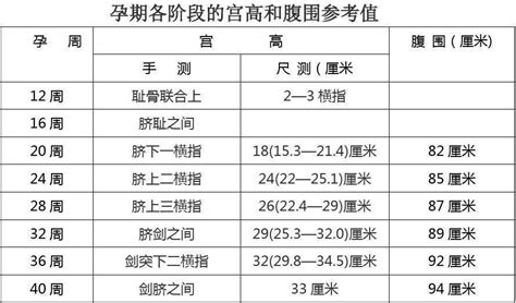 孕周宫底高度对照表 图库 五毛网