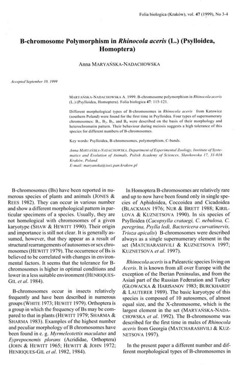 Pdf B Chromosome Polymorphism In Rhinocola Aceris L Psylloidea