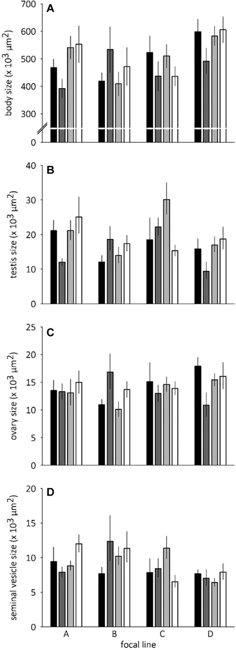 Effects Of Focal And Partner Lines On The Expression Of Morphological Download Scientific