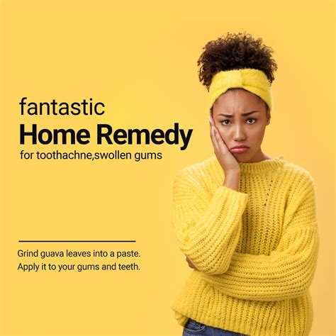 Organic Dried Guava Leaves Natural Guava Tea Hojas De Guayaba 75g Earth To Tables