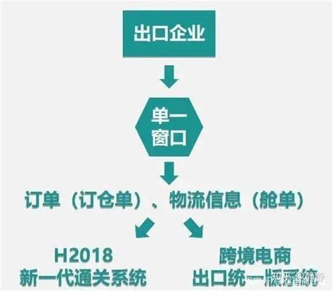 新疆首家出口“9710”“9810”新规试点外贸综合服务平台！ 知乎