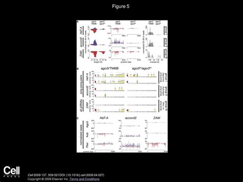 Volume Issue Pages May Ppt Download