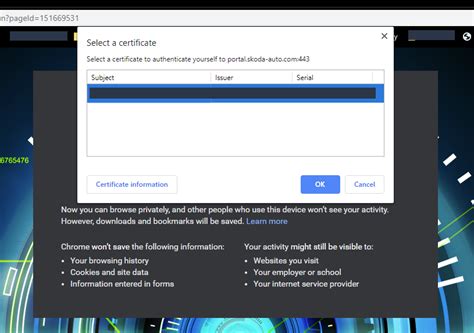 Accept Certificate P12 In C Selenium Stack Overflow