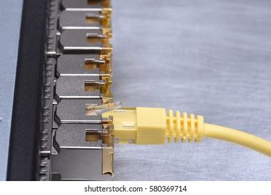 Network Switch Gbic Ethernet Cable Closeup Stock Photo Edit Now 580369714