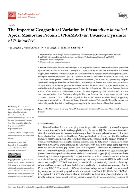 Pdf The Impact Of Geographical Variation In Plasmodium Knowlesi Apical Membrane Protein 1