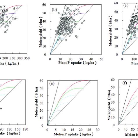 Relationship Between Melon Fresh Yield And N P And K Accumulation In Download Scientific