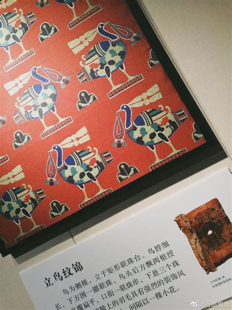 走进中国丝绸博物馆，感受杭州与丝绸的历史渊源
