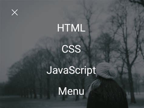Fullscreen Hamburger Menu In Javascript Codehim