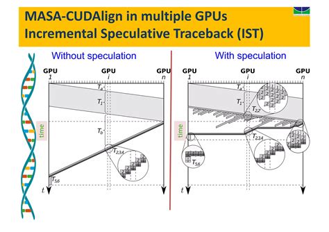 Parallel Biological Sequence Comparison In Gpu Platforms Ppt