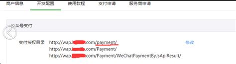 Asp Net WeChat JSAPI Weixin Error Appidget Brand Wcpay Request