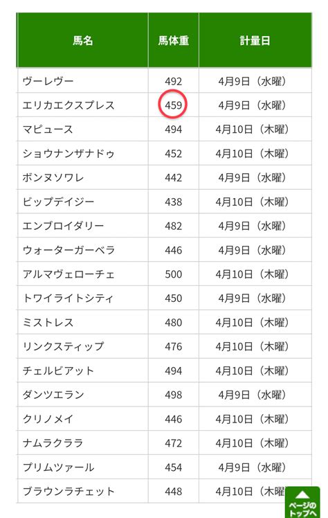 第85回桜花賞g1回顧｜reiwablackout