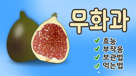 무화과효능 무화과 부작용 무화과먹는법 무화과보관법 알아보겠습니다 무화과효능부작용 Youtube 무화과효능 무화과 부작용 무화과먹는법 무화과보관법 알아보겠습니다 무화과효능부작용 Youtube