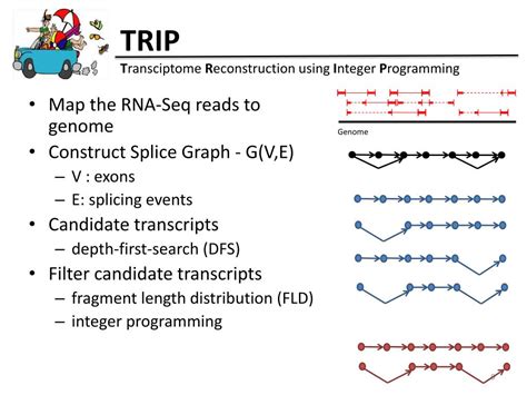 Ppt An Integer Programming Approach To Novel Transcript