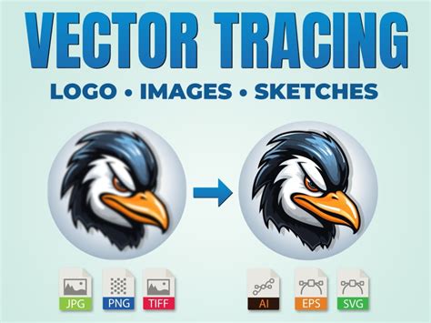 high quality vector tracing from your images upwork