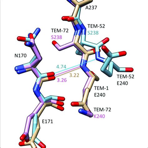 Schematic Illustration Of The Omega Loop Region As Well As The Download Scientific Diagram