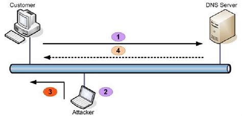 Dns Spoofing Example 1 Download Scientific Diagram