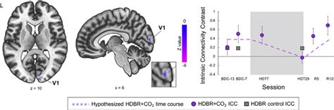 Time Course Of Intrinsic Connectivity Contrast Icc With Hdbr Co 2