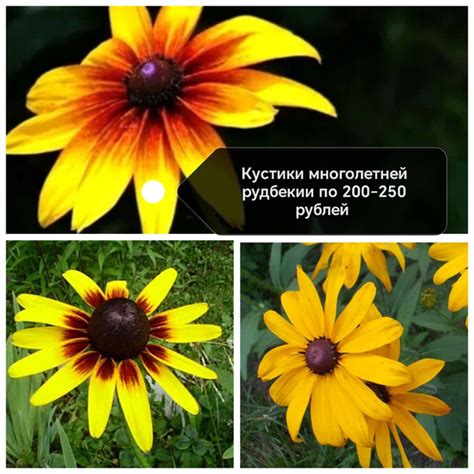 Т | Продуктовый онлайн маркет. Северодвинск | ВКонтакте