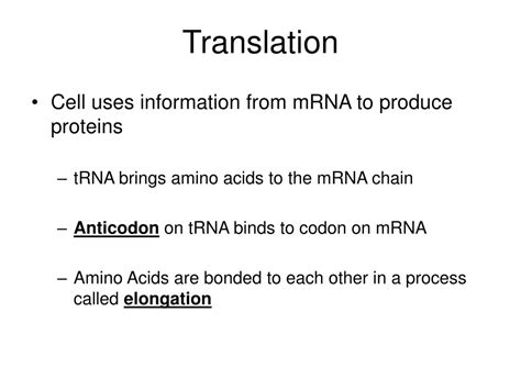 Ppt Transcription Vs Translation Powerpoint Presentation Free