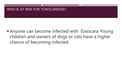 Toxocariasis Roundworms Pptx