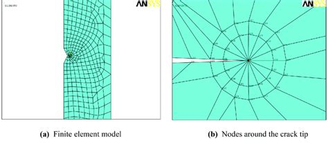 Finite Element Models Of Cnt Specimens Download Scientific Diagram