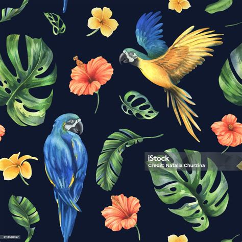 열대 야자수 잎 몬스테라와 플루메리아의 꽃 히비스커스 청황색 잉꼬 앵무새와 밝은 색 손으로 그린 수채화 식물 그림입니다 어두운 배경에 매끄러운 패턴 꽃 식물에 대한 스톡