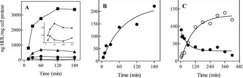 Time Course Of 125 I Hdl Association A Holoparticle Uptake B And Download Scientific